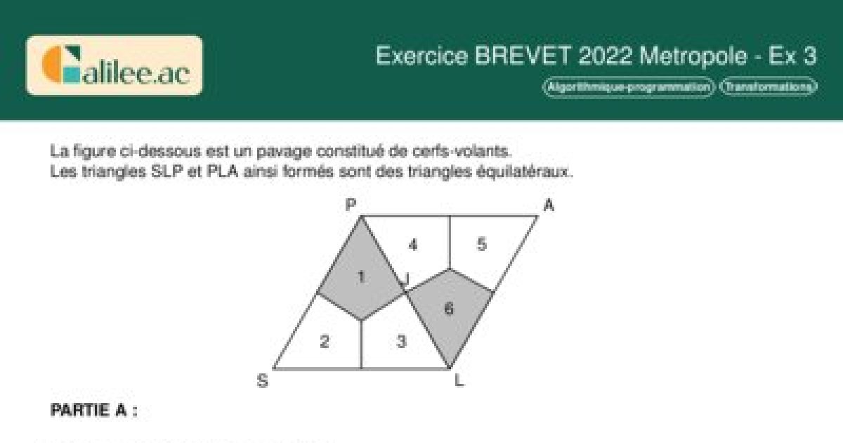 Exercice Corrigé Brevet Scratch & Géo 2022 - Ex 3 - Corrigé PDF